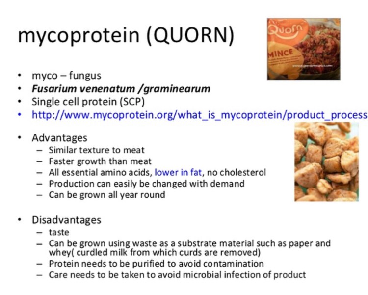 Quorn & Mycoprotein – the good and the bad – RAHEL THE AMAZON